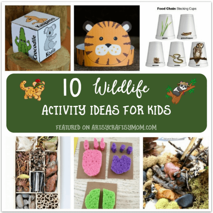 10 Wildlife Theme Activities For Kids To Do At Home 10 Wildlife Theme Activities For Kids To Do At Home