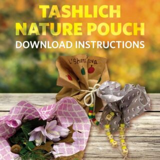 15 Beautiful Rosh Hashanah Crafts for Kids