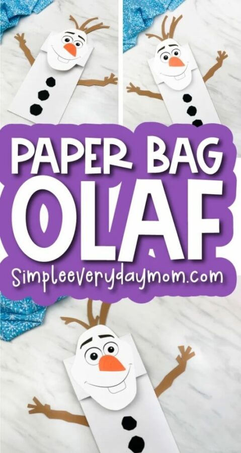 20 Fascinating Frozen Crafts for Kids