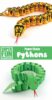 15 Interesting Reptile Crafts for Kids