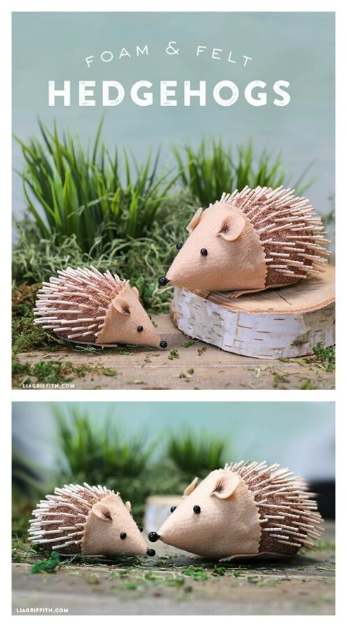 10 Adorable Hedgehog Crafts for Kids