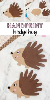 10 Adorable Hedgehog Crafts for Kids